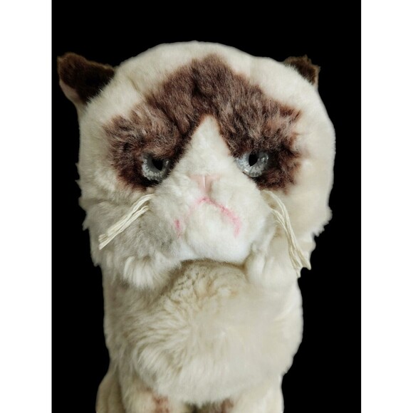 Gund | Accents | Gund Grumpy Cat Plush Stuffed Animal Toy Blue Eyes 9 ...
